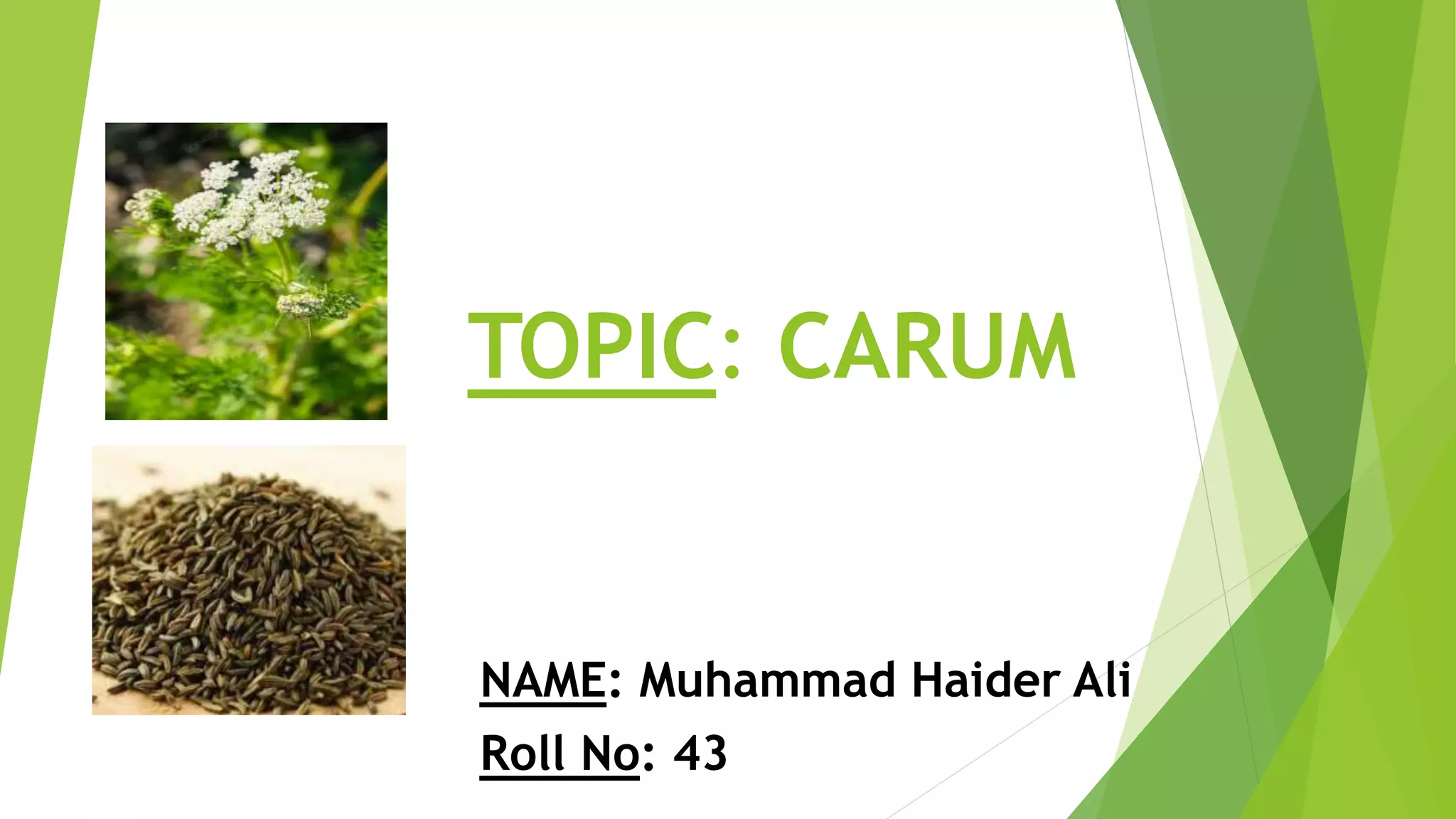 CARUM Carvi.pptx