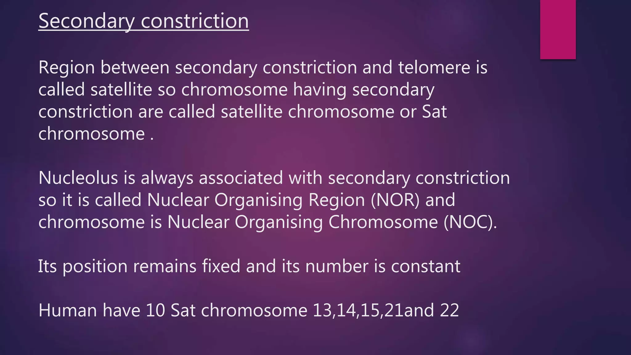 Topic chromosome | PPT