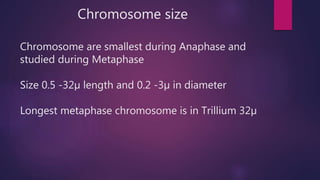Topic chromosome | PPTX