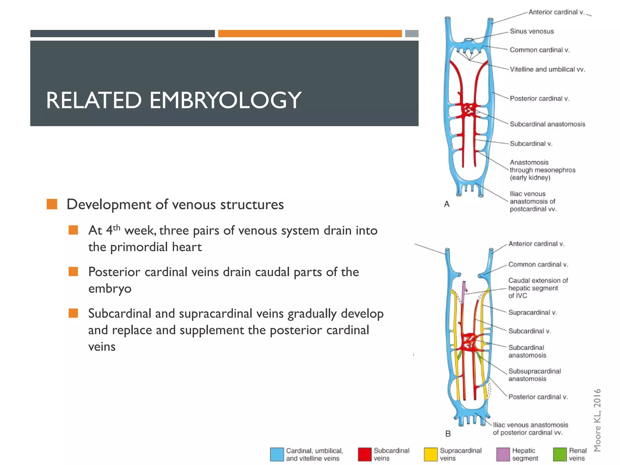 Segmental approach to Congenital Heart Disease | PDF