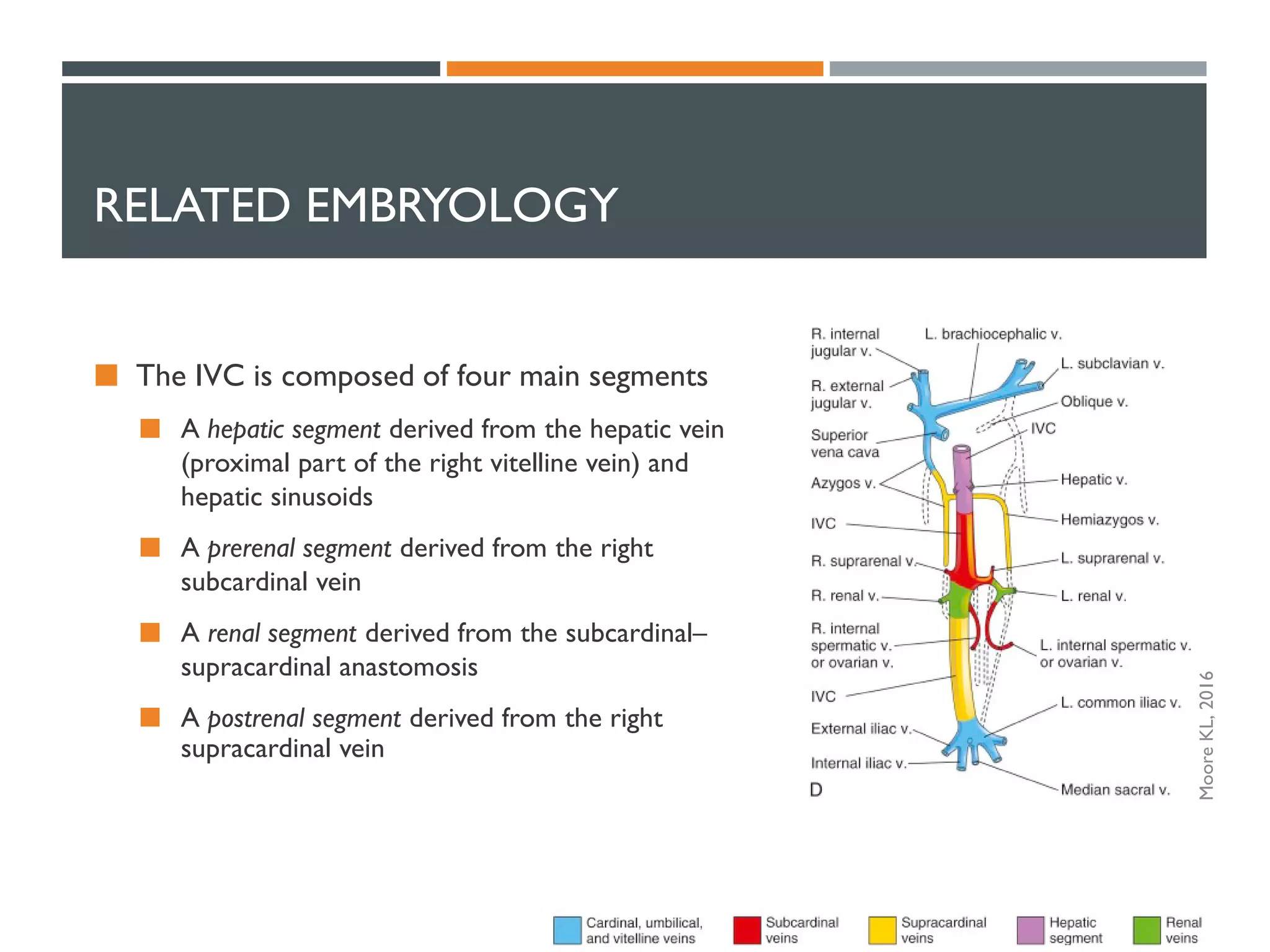Segmental approach to Congenital Heart Disease | PDF