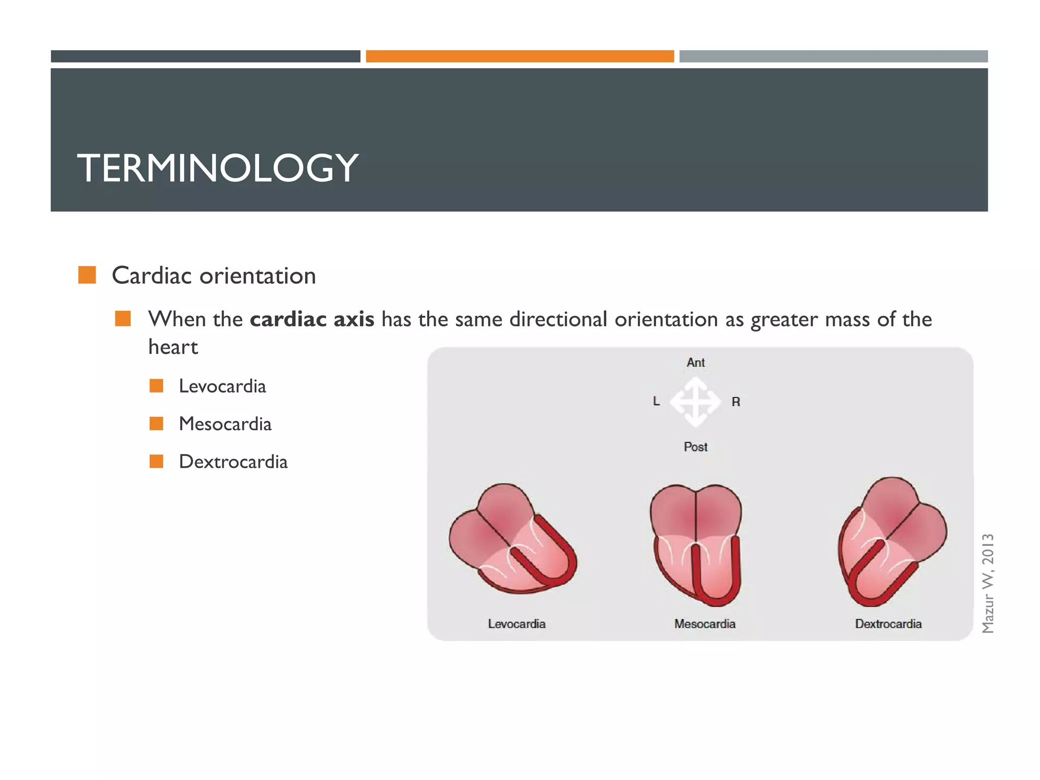 Segmental approach to Congenital Heart Disease | PDF