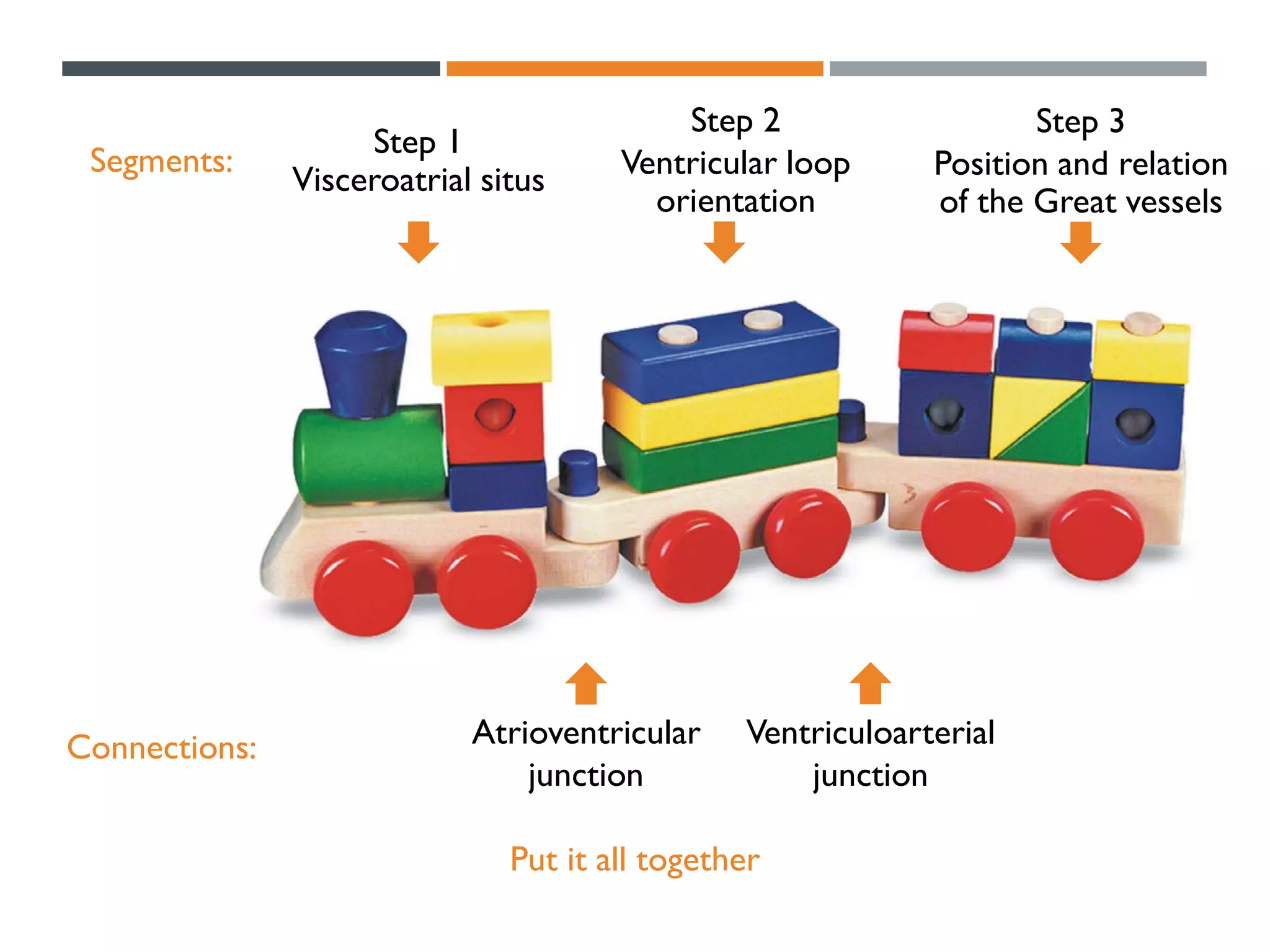Segmental approach to Congenital Heart Disease | PDF
