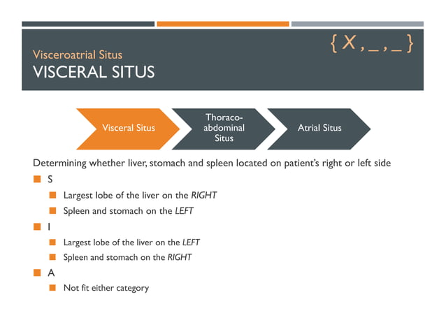 Segmental approach to Congenital Heart Disease | PDF | Heart and ...