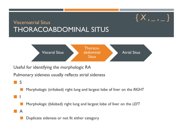 Segmental approach to Congenital Heart Disease | PDF | Heart and ...