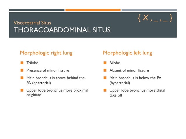 Segmental approach to Congenital Heart Disease | PDF | Heart and ...