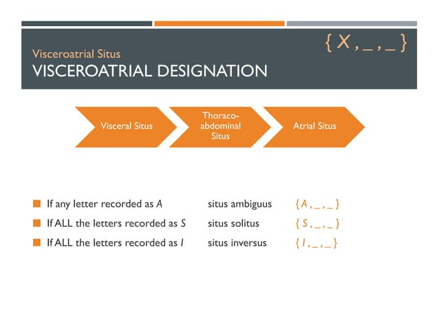 Segmental approach to Congenital Heart Disease | PDF | Heart and ...