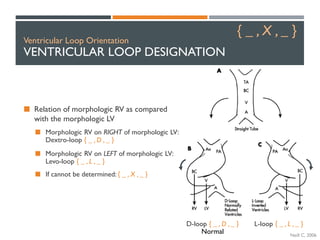 Segmental approach to Congenital Heart Disease | PDF