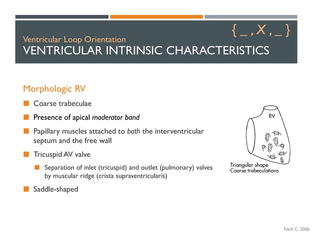 Segmental approach to Congenital Heart Disease | PDF | Heart and ...