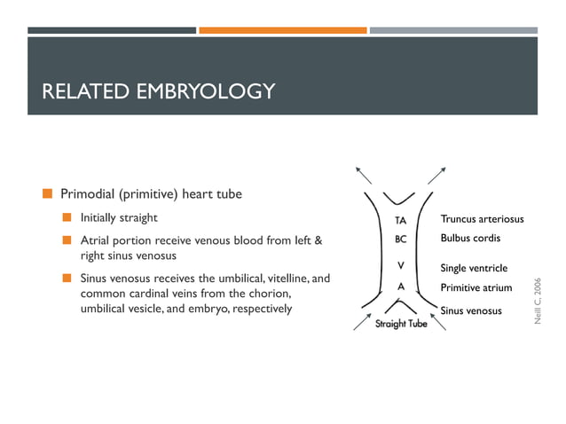 Segmental approach to Congenital Heart Disease | PDF | Heart and ...