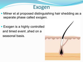 Topic hair cycle | PPTX