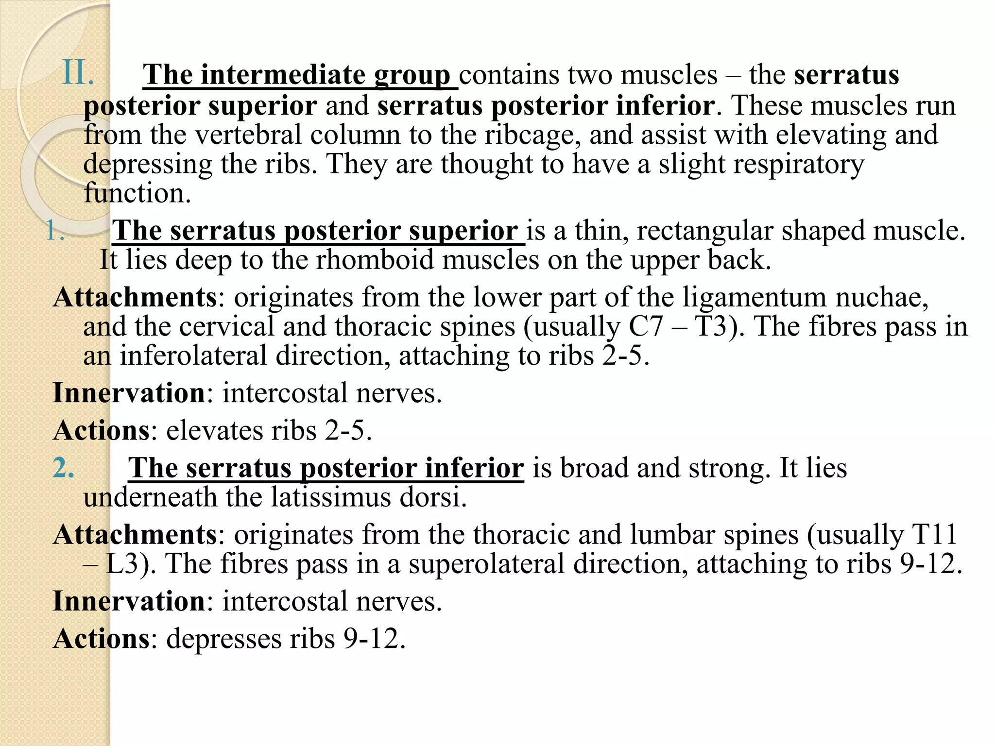 Surgery & anatomy of vertebral column and spinal nerves | PPTX