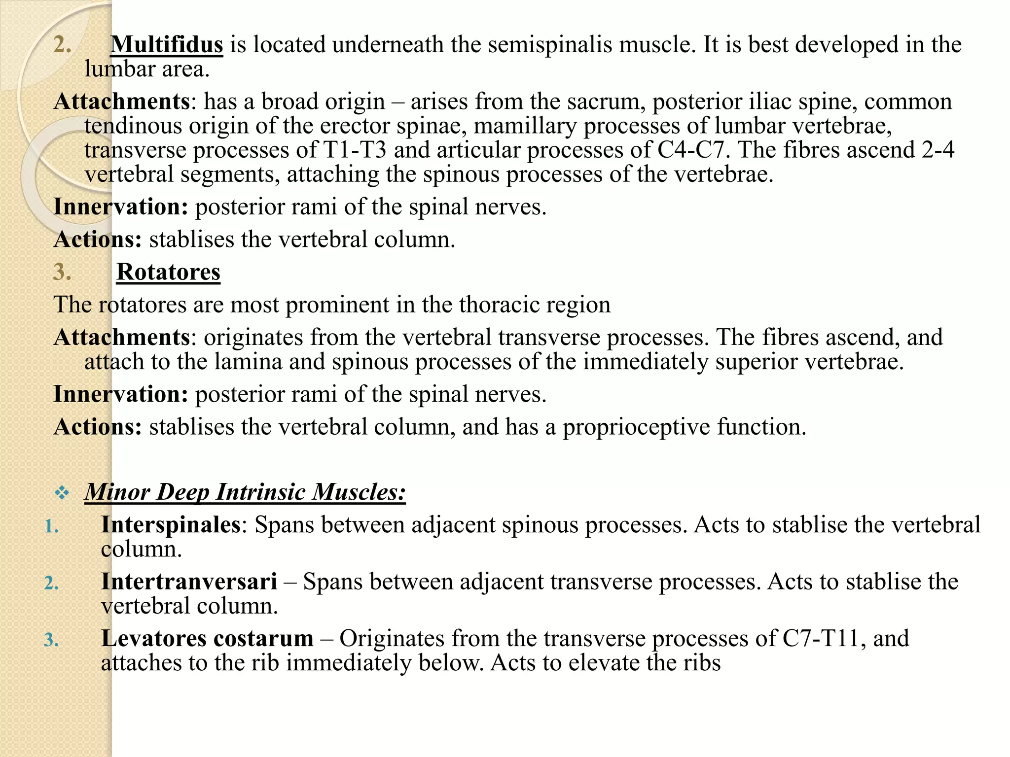 Surgery & anatomy of vertebral column and spinal nerves | PPTX