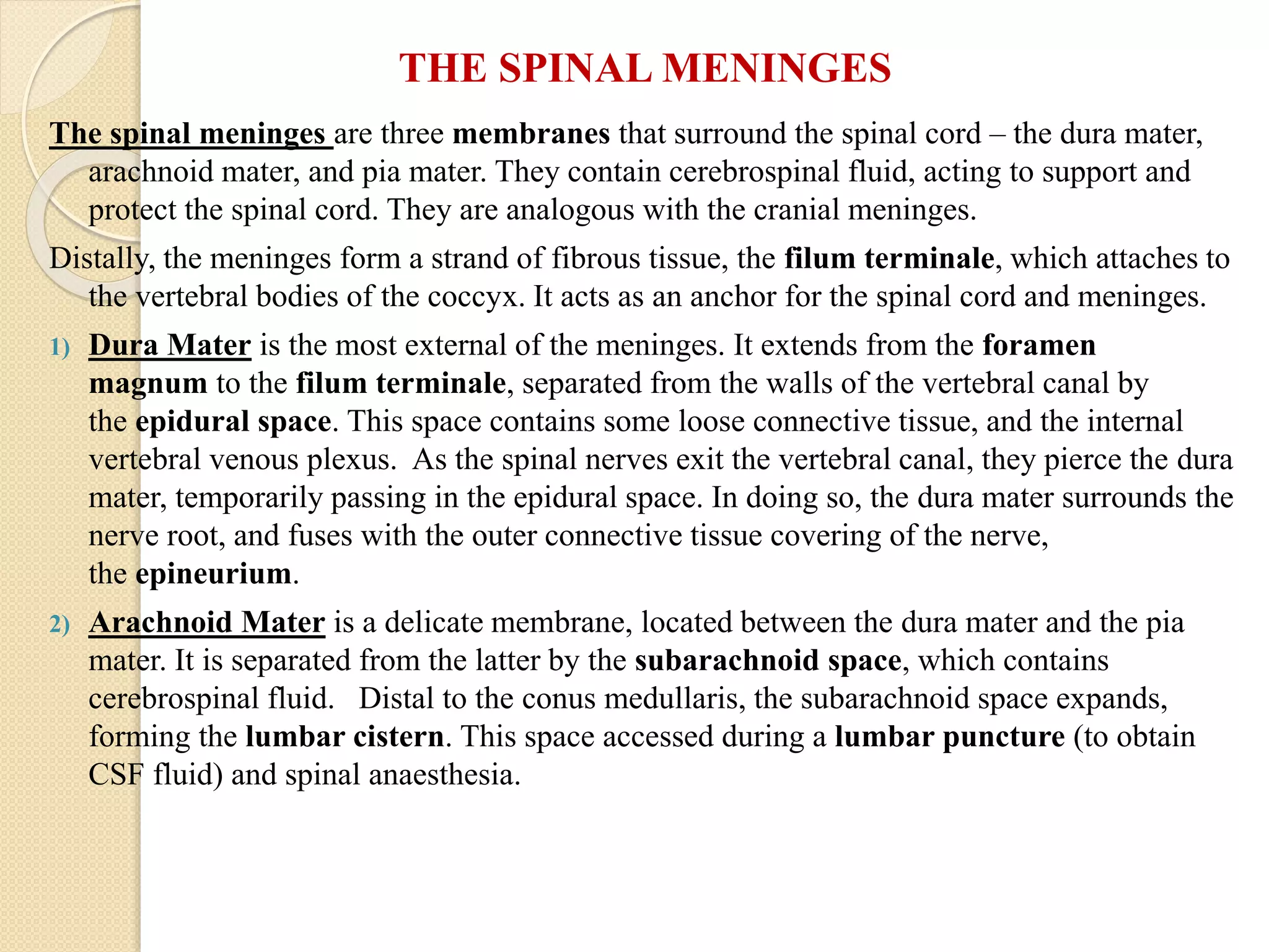 Surgery & anatomy of vertebral column and spinal nerves | PPTX