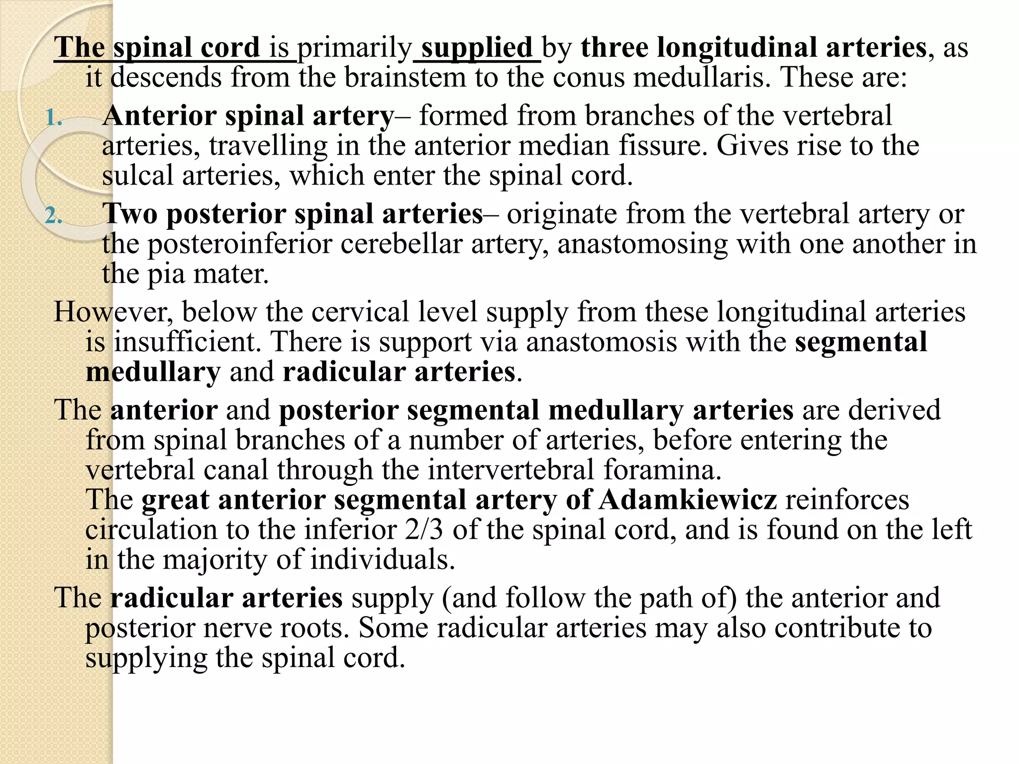 Surgery & anatomy of vertebral column and spinal nerves | PPTX