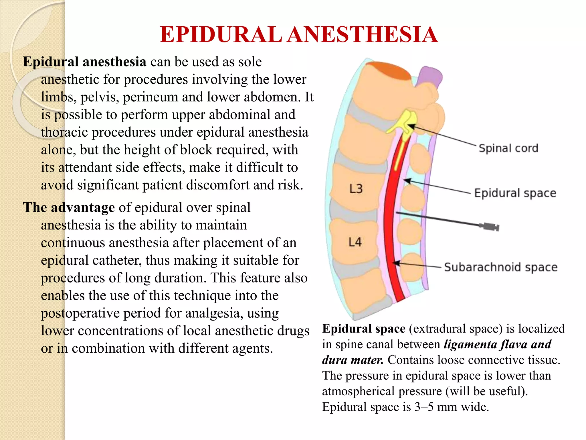 Surgery & anatomy of vertebral column and spinal nerves | PPTX