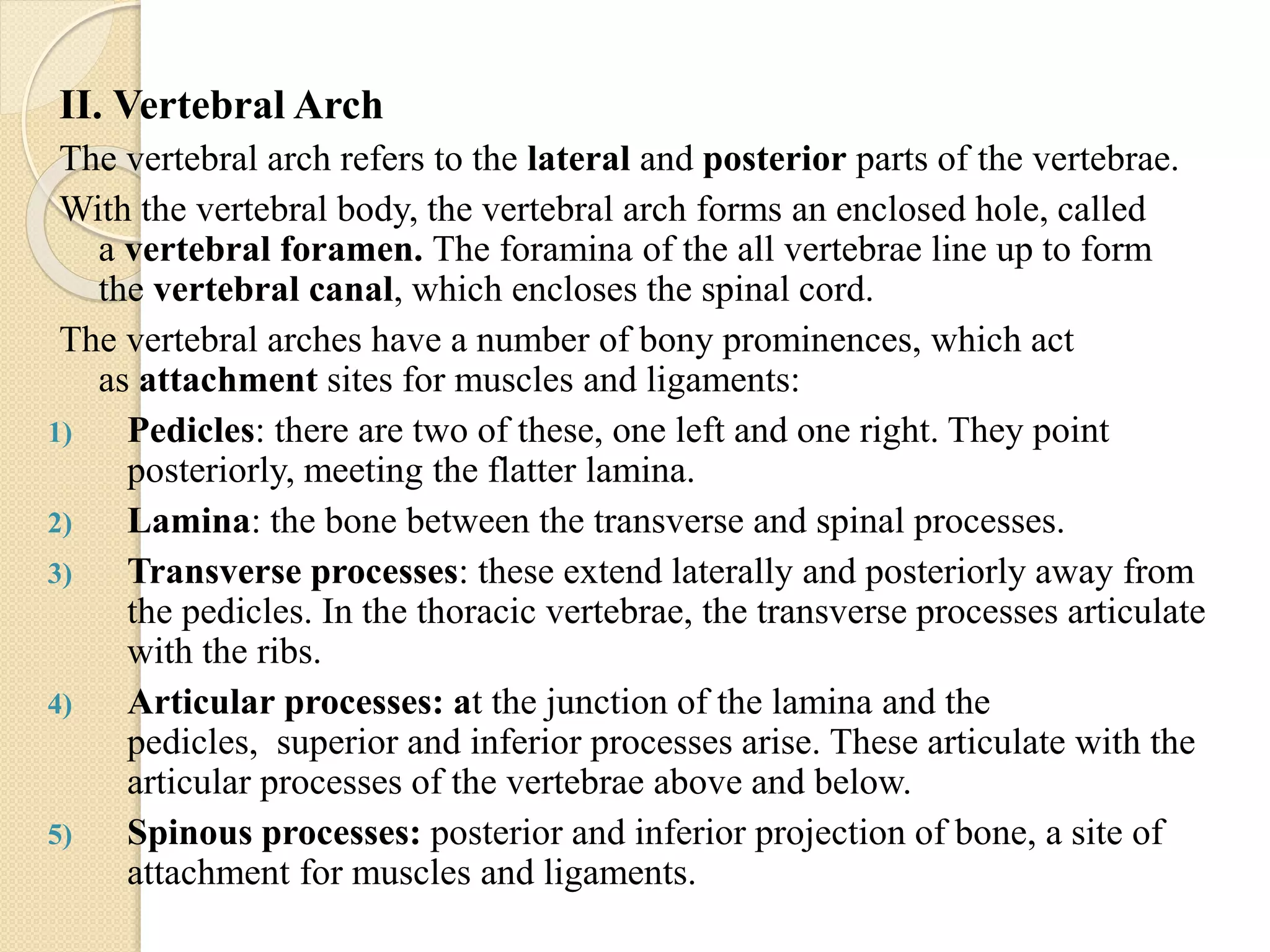 Surgery & anatomy of vertebral column and spinal nerves | PPTX
