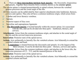 Surgery & anatomy of vertebral column and spinal nerves | PPTX