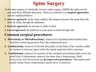 Surgery & anatomy of vertebral column and spinal nerves | PPTX