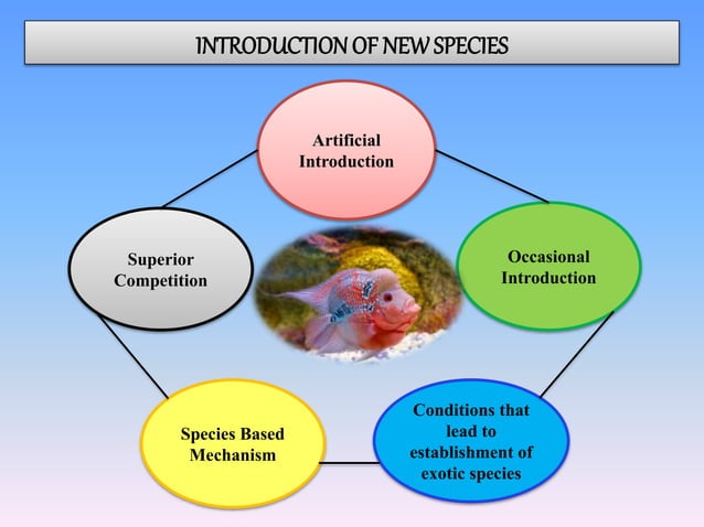 TOPIC – INTRODUCTION OF EXOTIC FISH SPECIES.pptx | Zoos & Aquariums ...