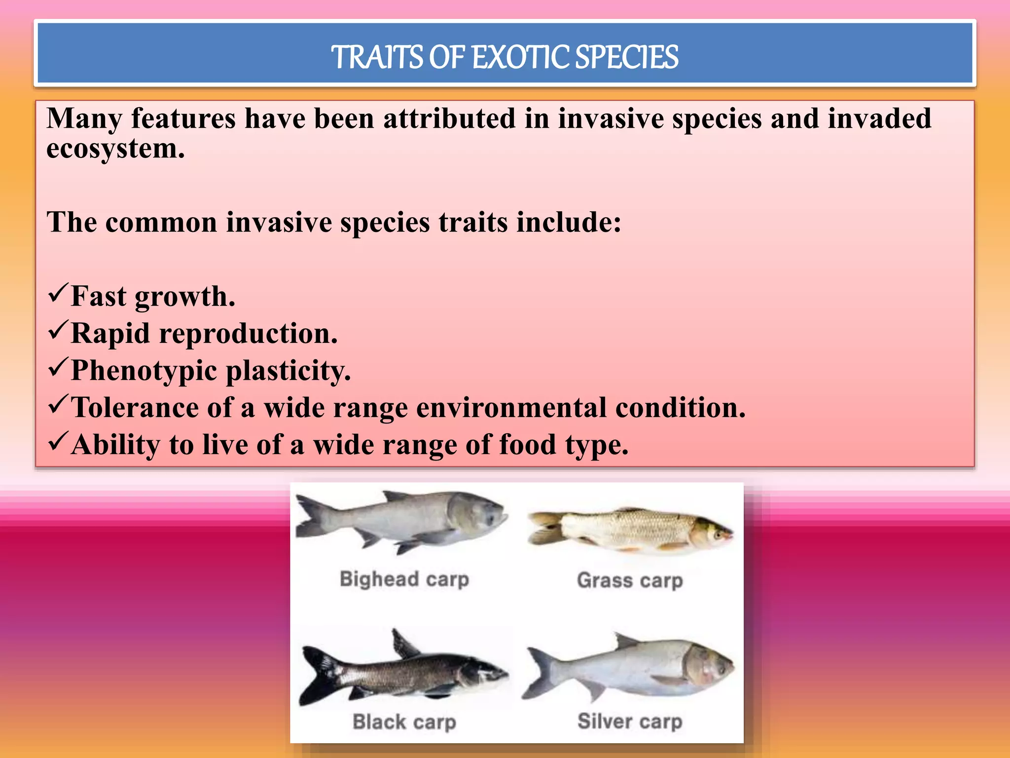 INTRODUCTION OF EXOTIC FISH SPECIES | PPTX