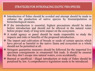 INTRODUCTION OF EXOTIC FISH SPECIES | PPTX