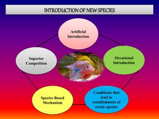 INTRODUCTION OF EXOTIC FISH SPECIES | PPTX