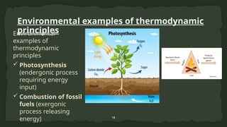 topic _INTRO TO ENVIRONMENTAL SYSTEMS.pptx