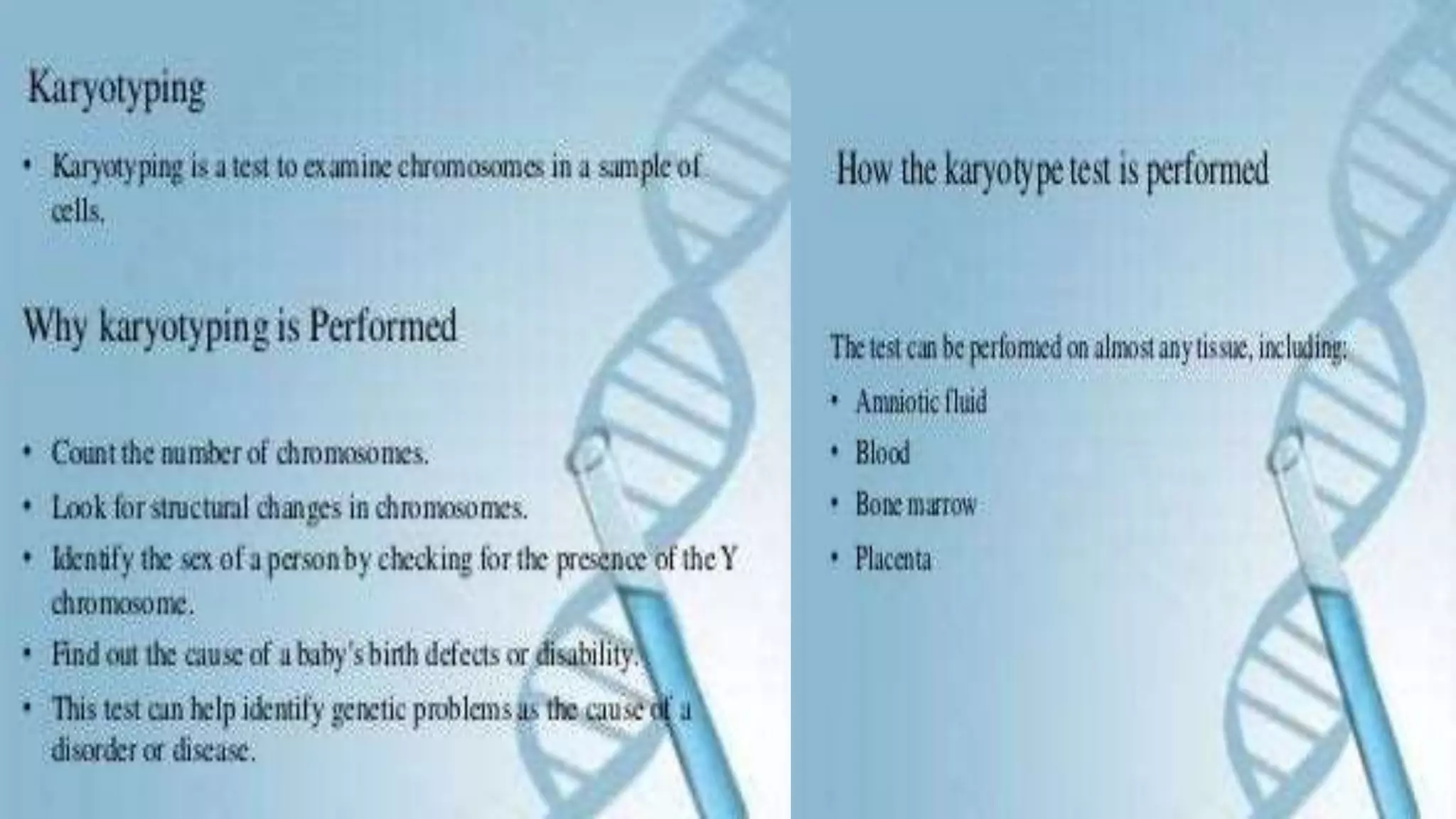 Topic karyotype | PPT