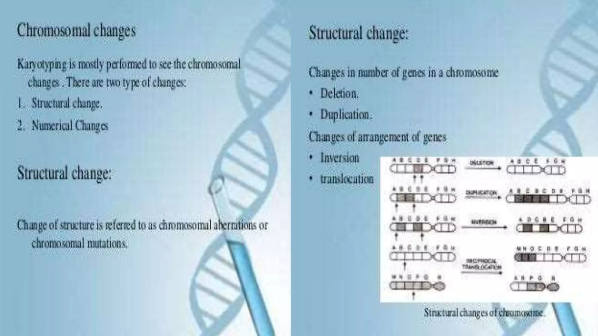 Topic karyotype | PPT