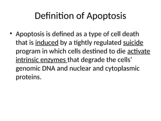 Mechanism Of Apoptosis, its function and its significance.pptx