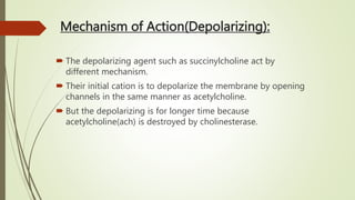 Neuromuscular blockers.pptx