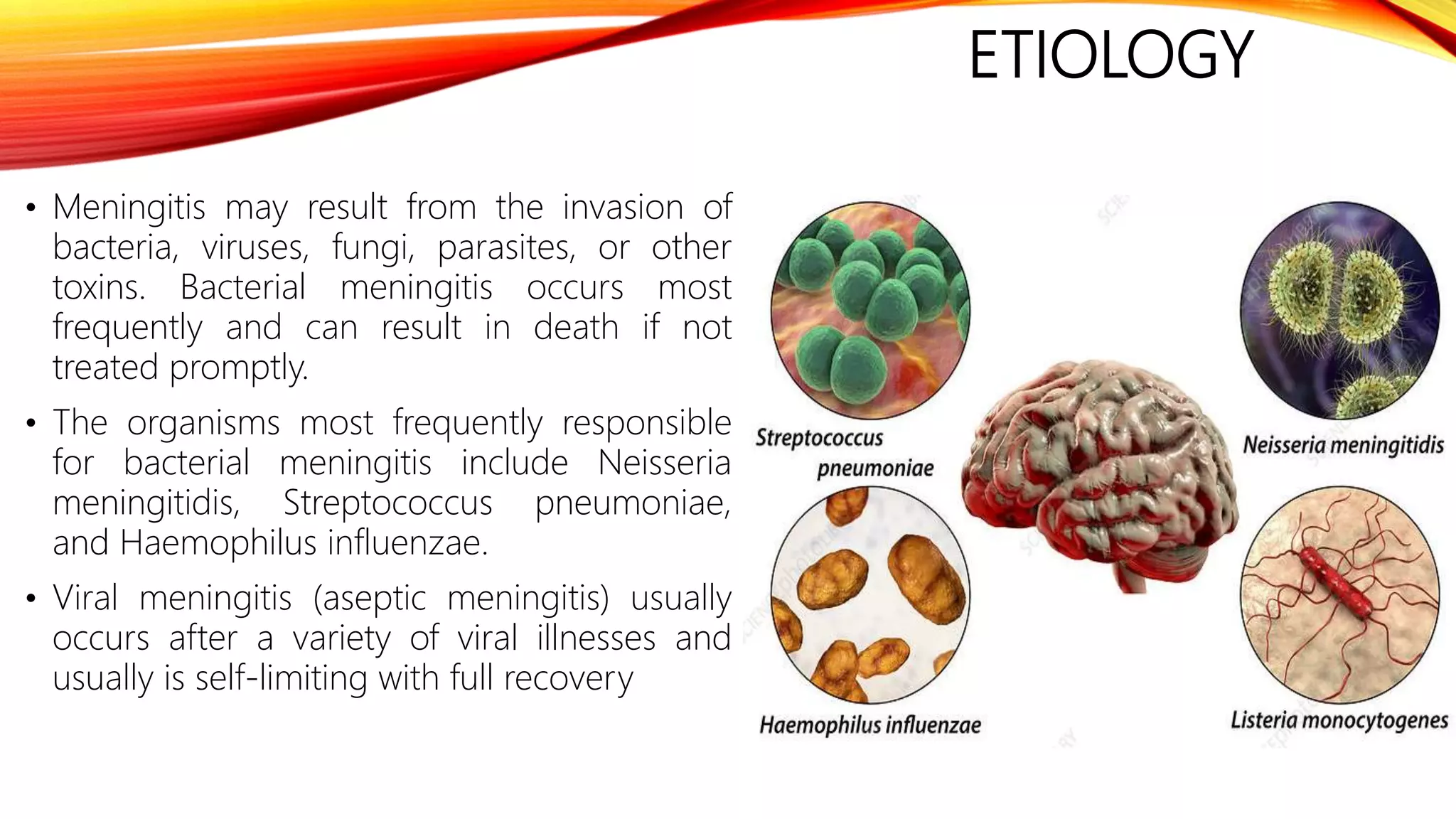 neuro infectious diseases.pptx