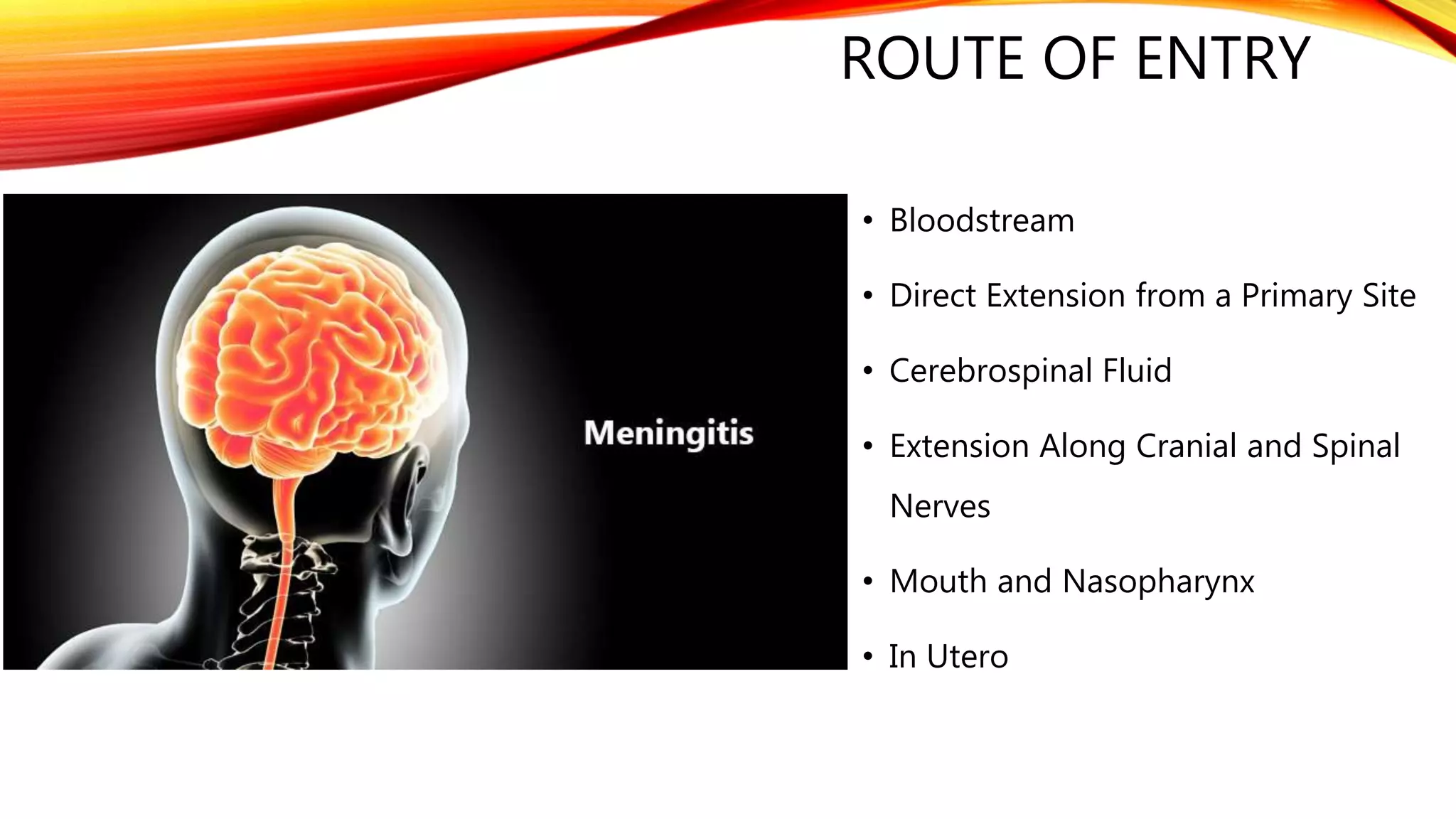 neuro infectious diseases.pptx