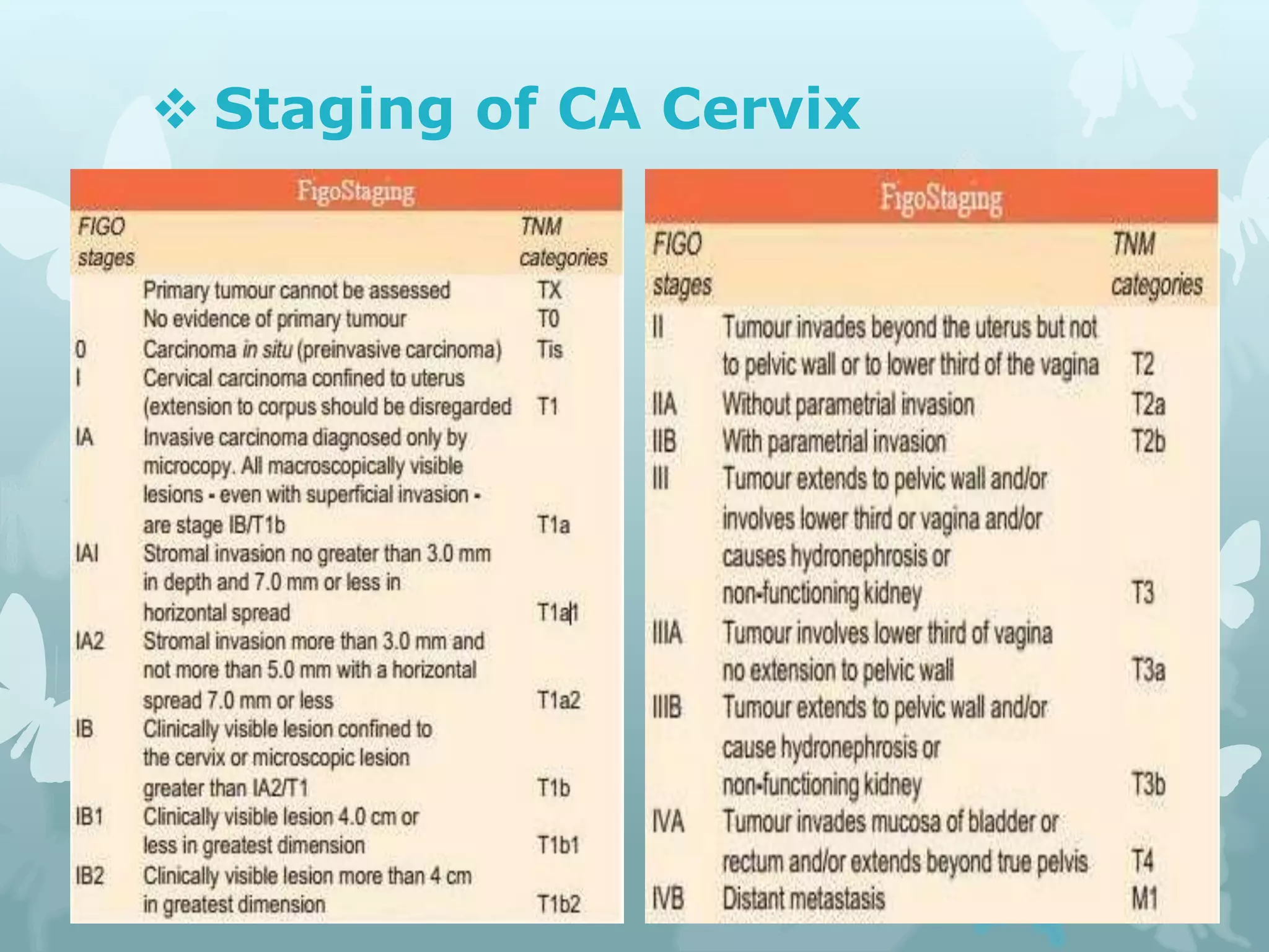 CA Cervix | PPTX