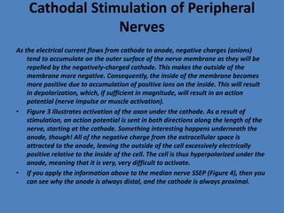 neurophysiological basis of therapeutic electricity | PPTX