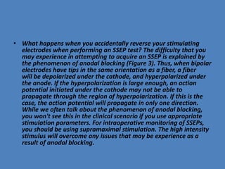 neurophysiological basis of therapeutic electricity | PPTX | Biological ...