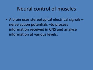 neurophysiological basis of therapeutic electricity | PPTX | Biological ...