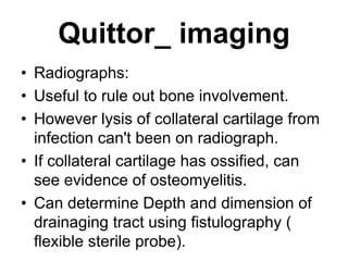 Quittor IN EQUINES | PPT