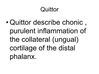 Quittor IN EQUINES | PPT