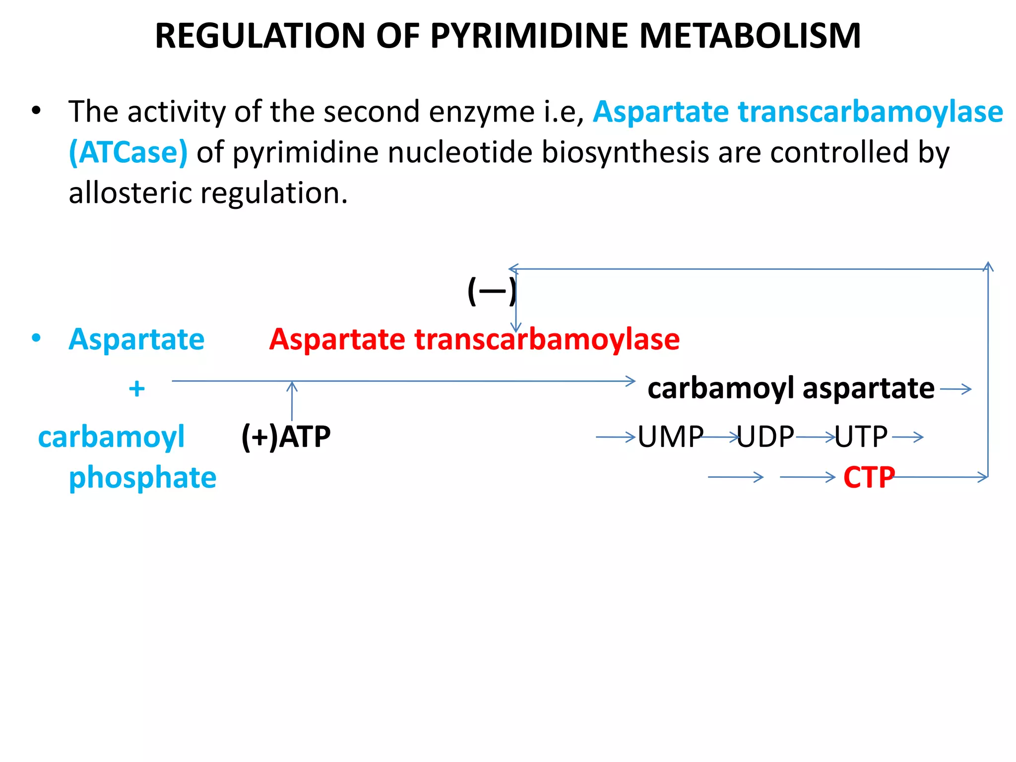 Topic reciprocal regulation of purine and pyrimidine metabolism | PPTX