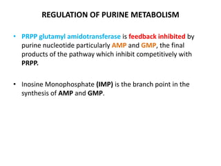 Topic reciprocal regulation of purine and pyrimidine metabolism | PPTX