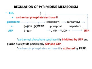 Topic reciprocal regulation of purine and pyrimidine metabolism | PPTX