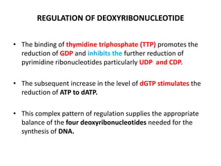 Topic reciprocal regulation of purine and pyrimidine metabolism | PPTX