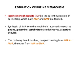 Topic reciprocal regulation of purine and pyrimidine metabolism | PPTX