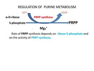 Topic reciprocal regulation of purine and pyrimidine metabolism | PPTX