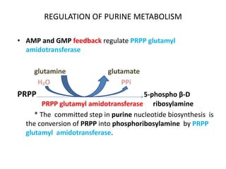 Topic reciprocal regulation of purine and pyrimidine metabolism | PPTX