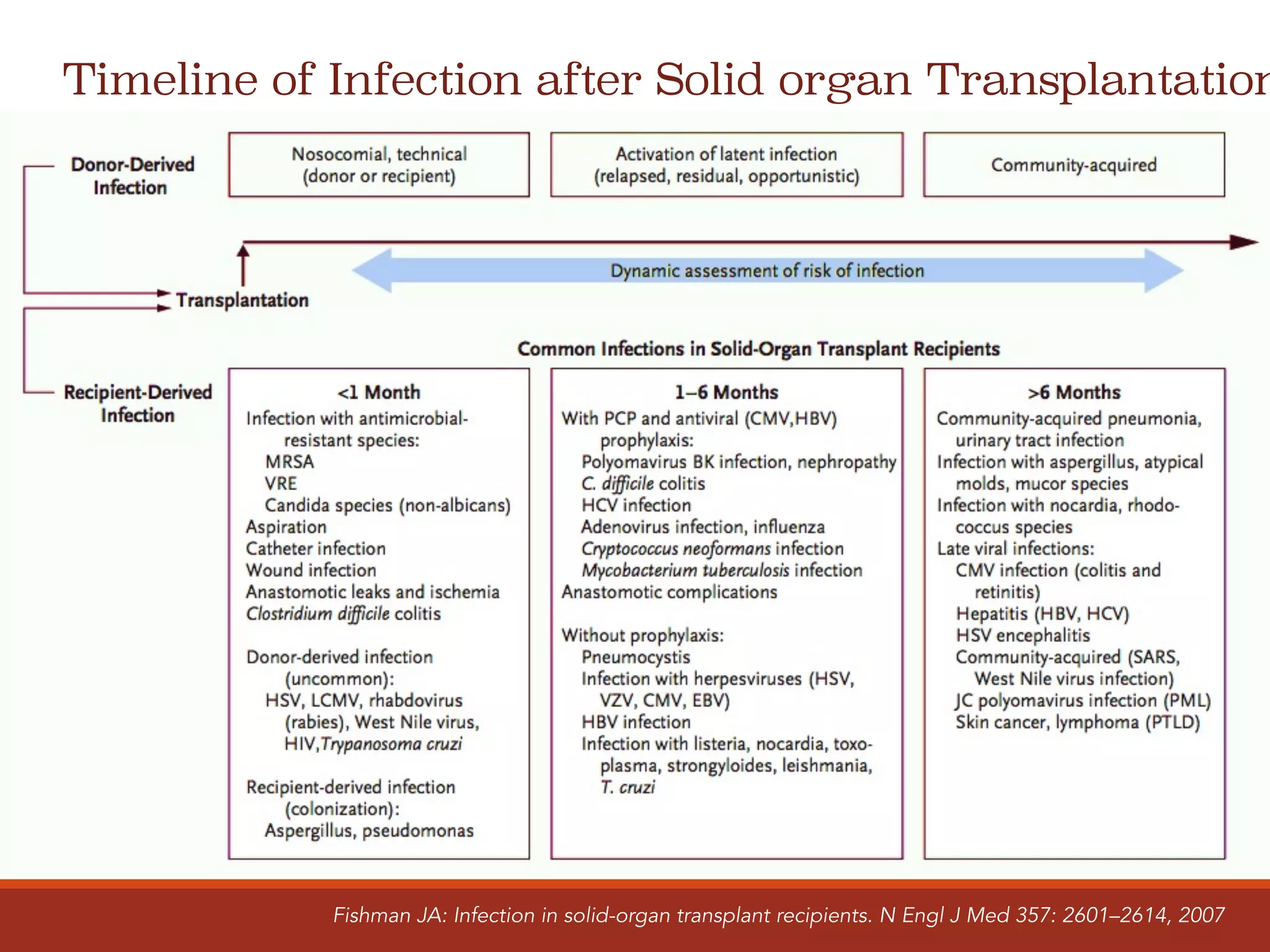 kidney transplantation infection | PDF