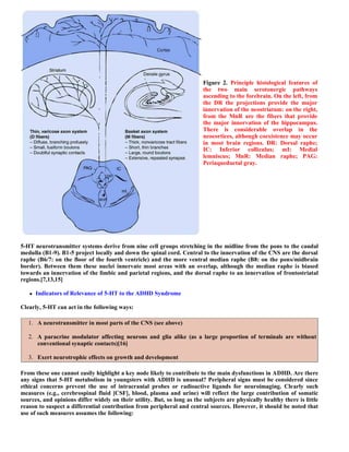 Topic of the month.... The role of serotonin in attention deficit ...