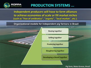 Brazilian pig meat production: past, present and future | PPT